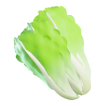 Victus Website